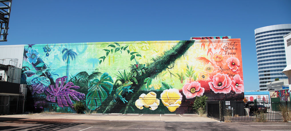 Wander Darwin's Walls – We Wander Experiences